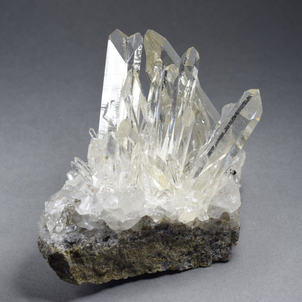 Quartz - Gondwana Fossils